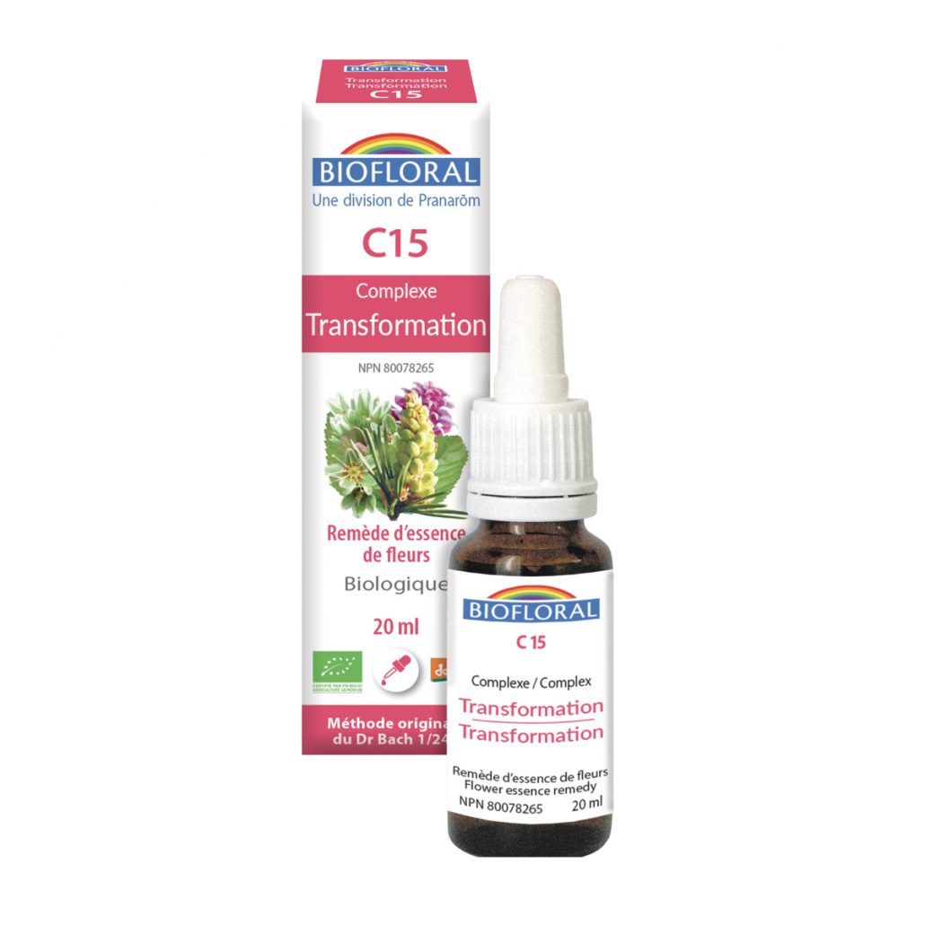 C15 – Processing – Red Point